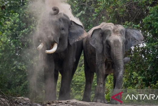 Góc hài hước - Những tình huống hài hước trong cuộc sống hàng ngày