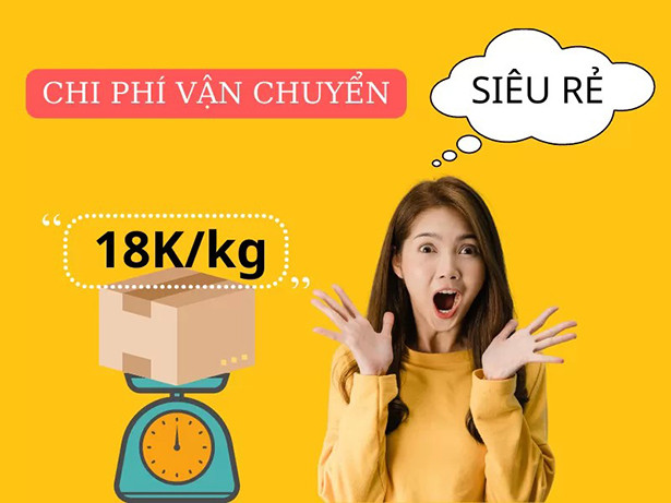 Dịch vụ order, nhập hàng quần áo trẻ em Quảng Châu cước phí rẻ chỉ 5%
