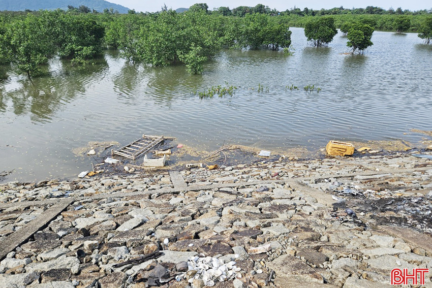 Ngổn ngang rác thải dọc bờ đê Đồng Môn | Báo Hà Tĩnh - Tin tức Hà Tĩnh ...