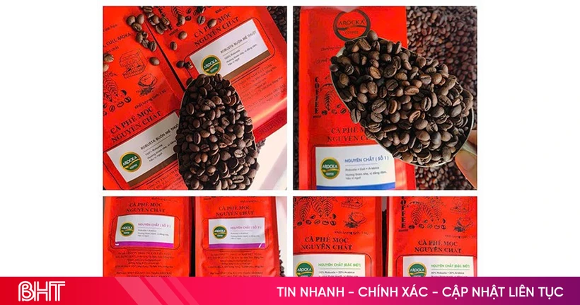 Arocka Coffee - cung cấp cà phê rang xay giá sỉ ở TP Hồ Chí Minh