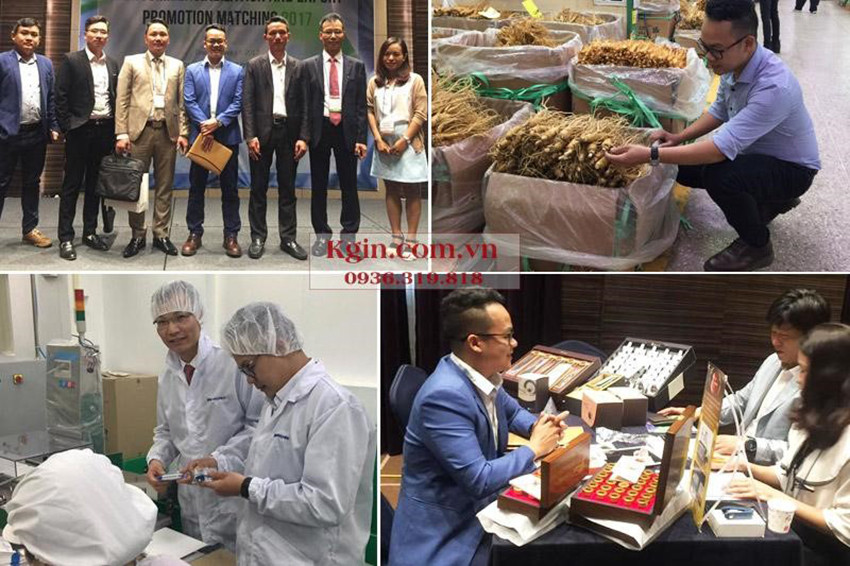 Nhân sâm Hàn Quốc KGIN và những thành tựu sau 6 năm phát triển