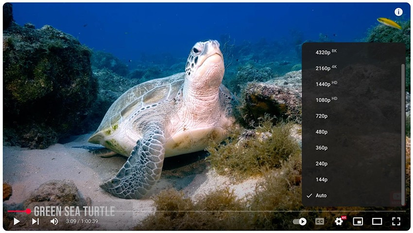 Lucid Gen hỗ trợ tải video chất lượng cao trên YouTube